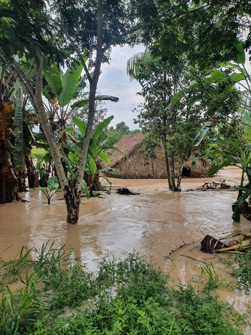 Challenges The Huni Kuin – Hunitribe